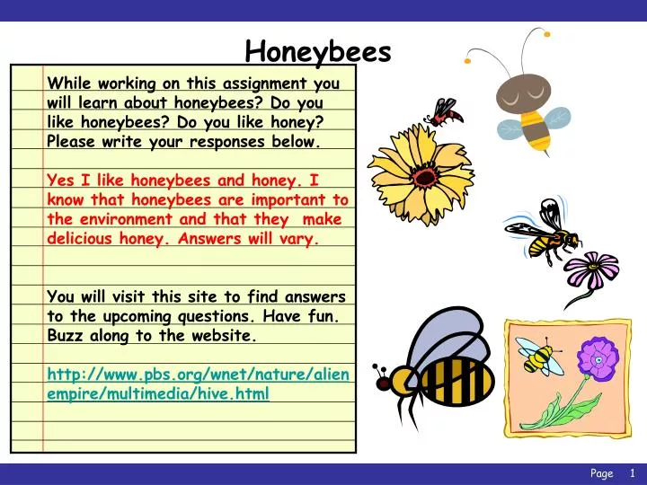 Life Cycle Of Honey Bee Ppt