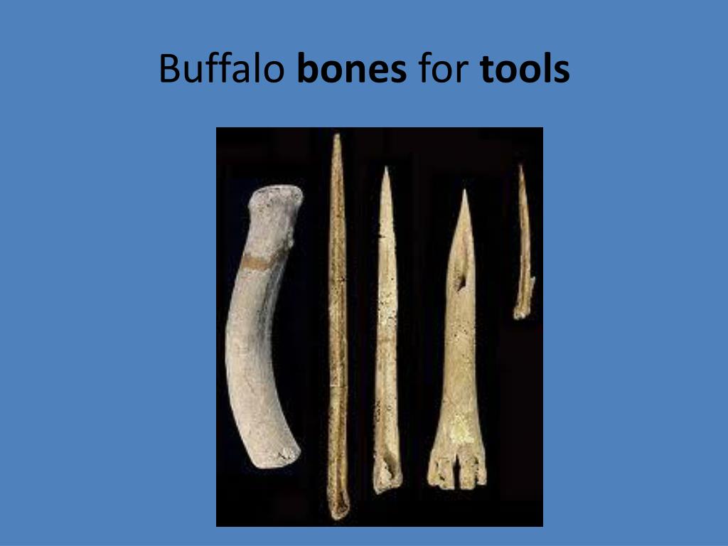 PPT - Settling the Western Frontier 1862-1890 PowerPoint Presentation ...