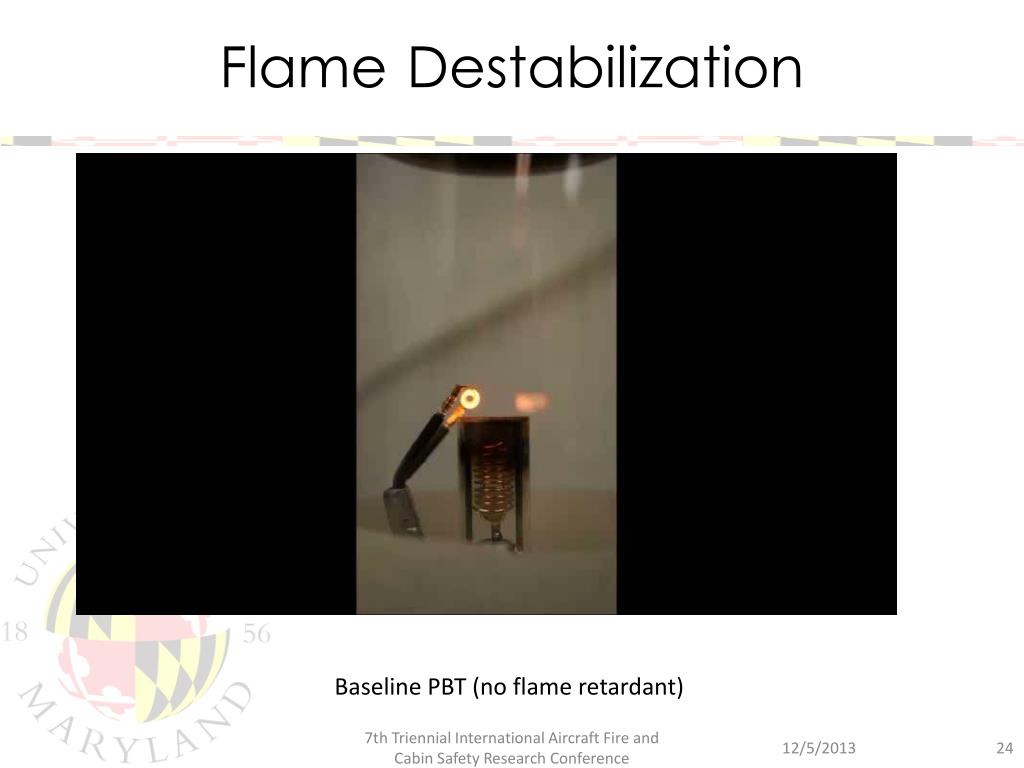 PPT - Fernando Raffan , Xi Ding, Stanislav Stoliarov University of ...