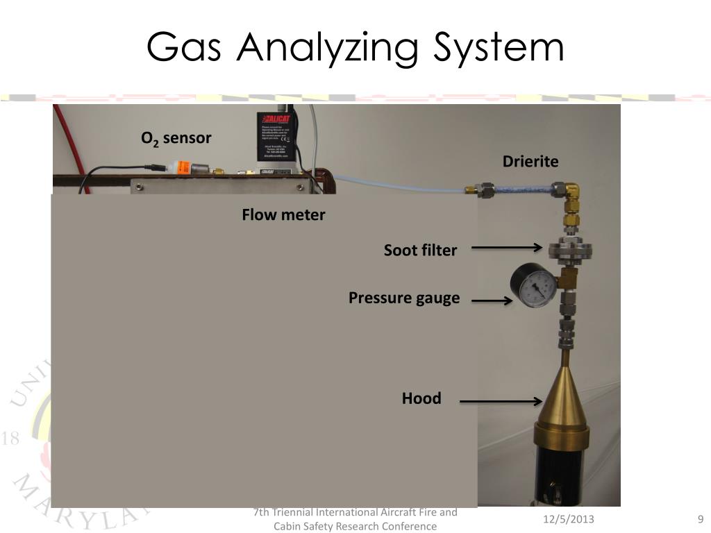 PPT - Fernando Raffan , Xi Ding, Stanislav Stoliarov University of ...
