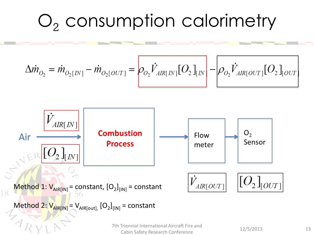 PPT - Fernando Raffan , Xi Ding, Stanislav Stoliarov University of ...