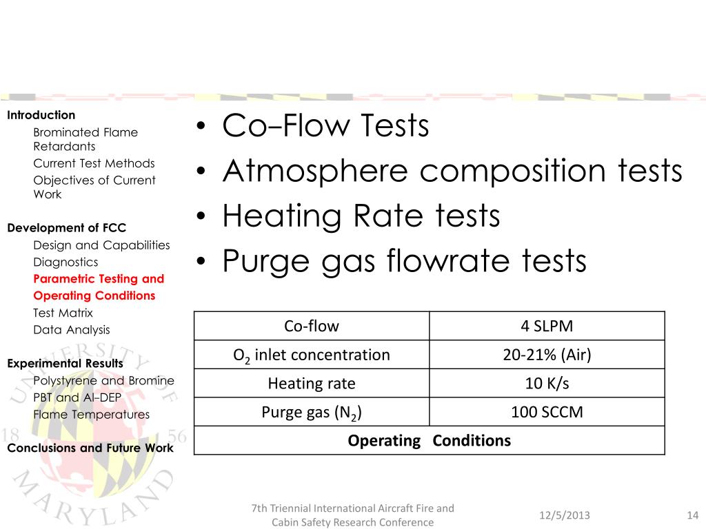 PPT - Fernando Raffan , Xi Ding, Stanislav Stoliarov University of ...
