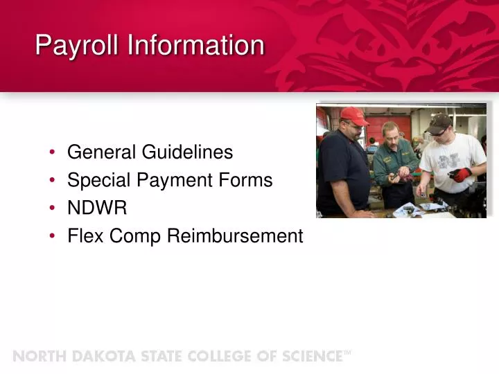 PPT - Payroll Information PowerPoint Presentation, free download - ID ...
