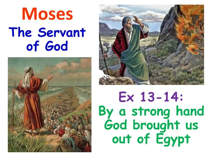 PPT - Moses PowerPoint Presentation, free download - ID:2116425