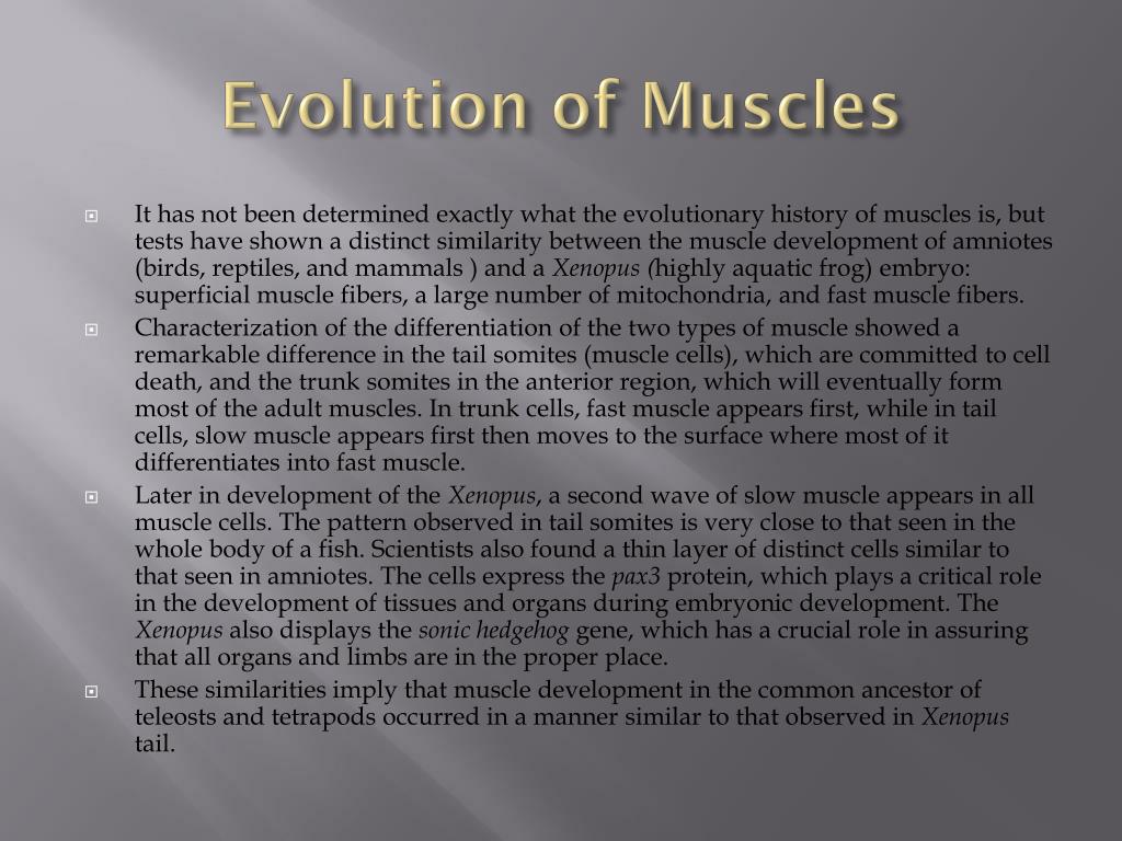 PPT - A study of the Human Body Systems: Skeletal & Muscular PowerPoint ...