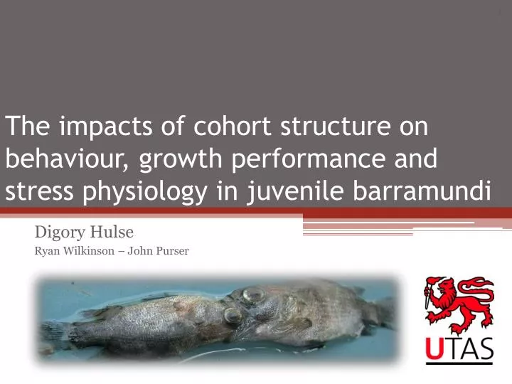 PPT - Digory Hulse Ryan Wilkinson – John Purser PowerPoint Presentation ...