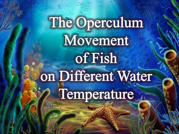 PPT - The Operculum Movement of Fish on Different Water Temperature ...