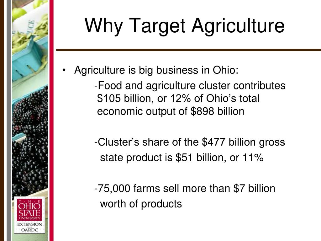 PPT - Utilizing Agriculture as an Economic Development Tool 2013 Ohio ...
