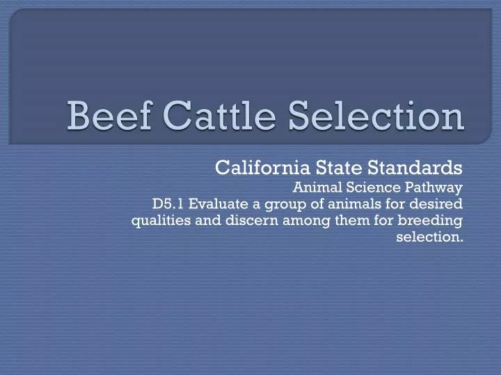 PPT - Beef Cattle Selection PowerPoint Presentation, free download - ID ...