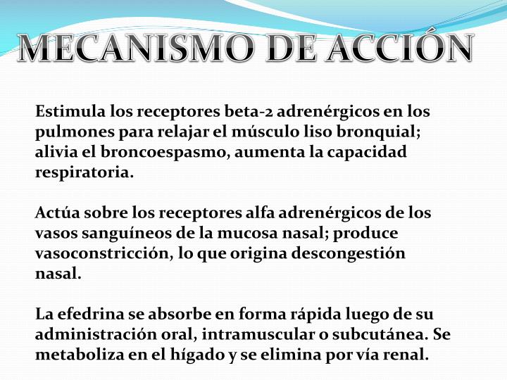 PPT - BRONCODILATADORES PowerPoint Presentation - ID:2117546