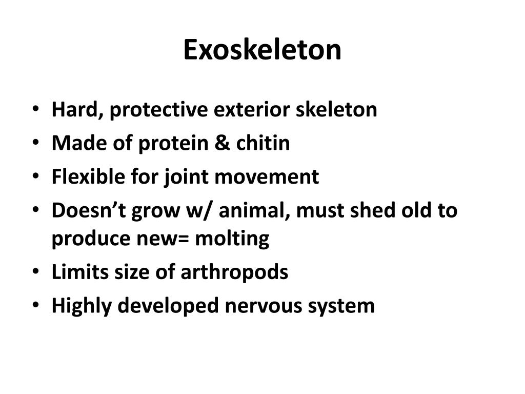 PPT - Kingdom Animalia Phylum Arthropoda PowerPoint Presentation, free ...