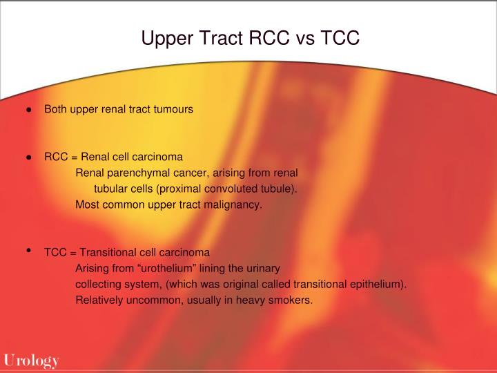 PPT - Kidney Cancer – RCC & TCC PowerPoint Presentation - ID:2118255