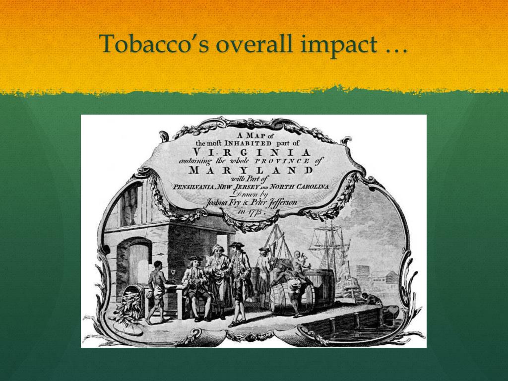 PPT - Tobacco Cultivation in the 17 th Century Chesapeake PowerPoint ...