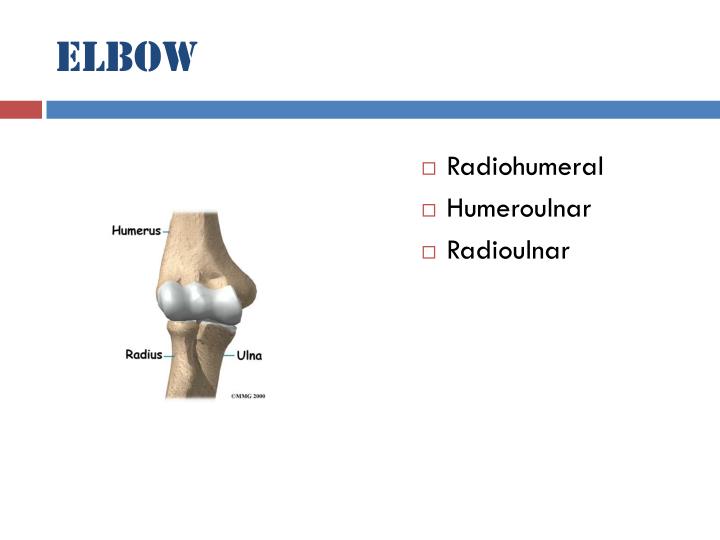 PPT - Joints and Bone Injuries PowerPoint Presentation - ID:2118579