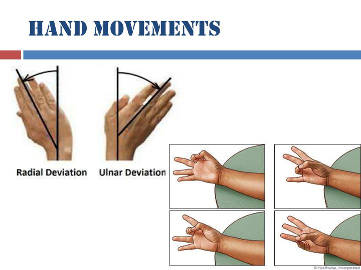PPT - Joints and Bone Injuries PowerPoint Presentation - ID:2118579
