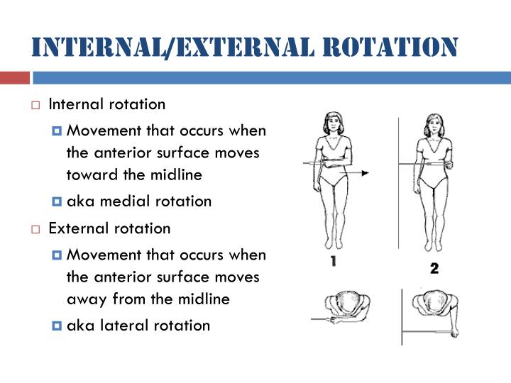 PPT - Joints and Bone Injuries PowerPoint Presentation - ID:2118579