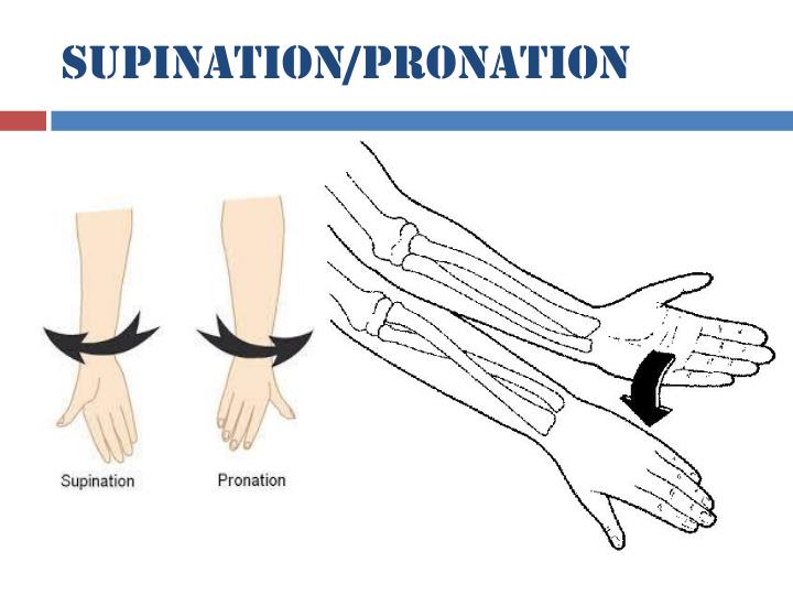 PPT - Joints and Bone Injuries PowerPoint Presentation - ID:2118579