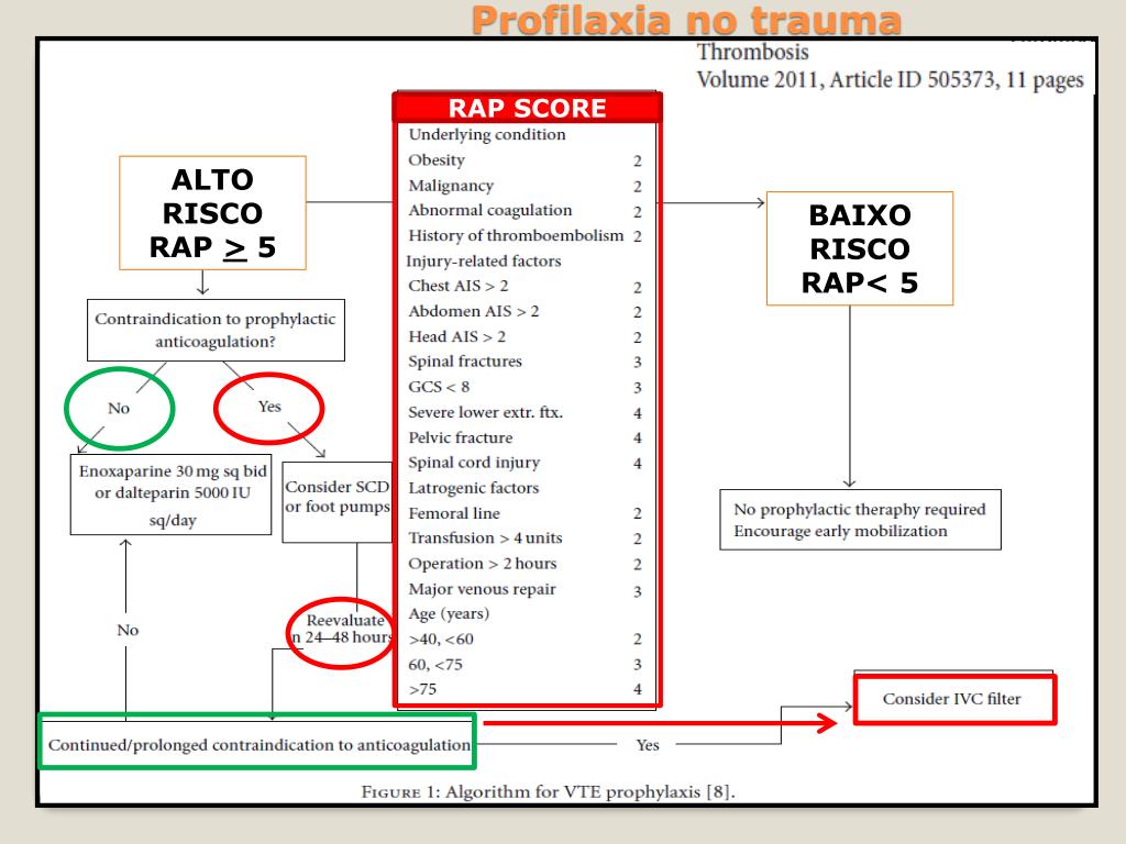 PPT - Contraindicações da anticoagulação PowerPoint Presentation, free ...