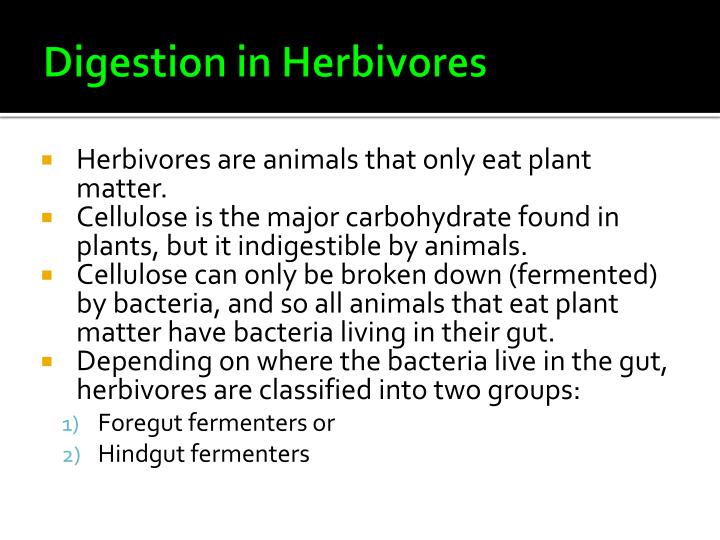 PPT - Types of Digestive System PowerPoint Presentation - ID:2118697