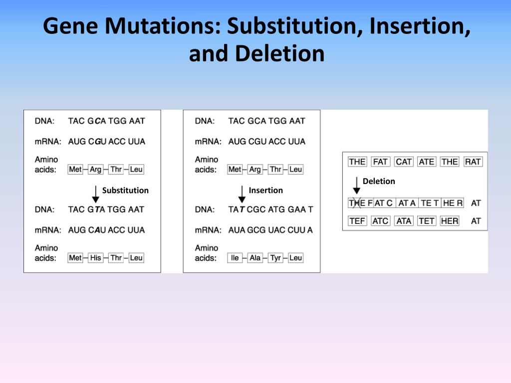 Ppt Dna And Rna Powerpoint Presentation Free Download Id 2118730