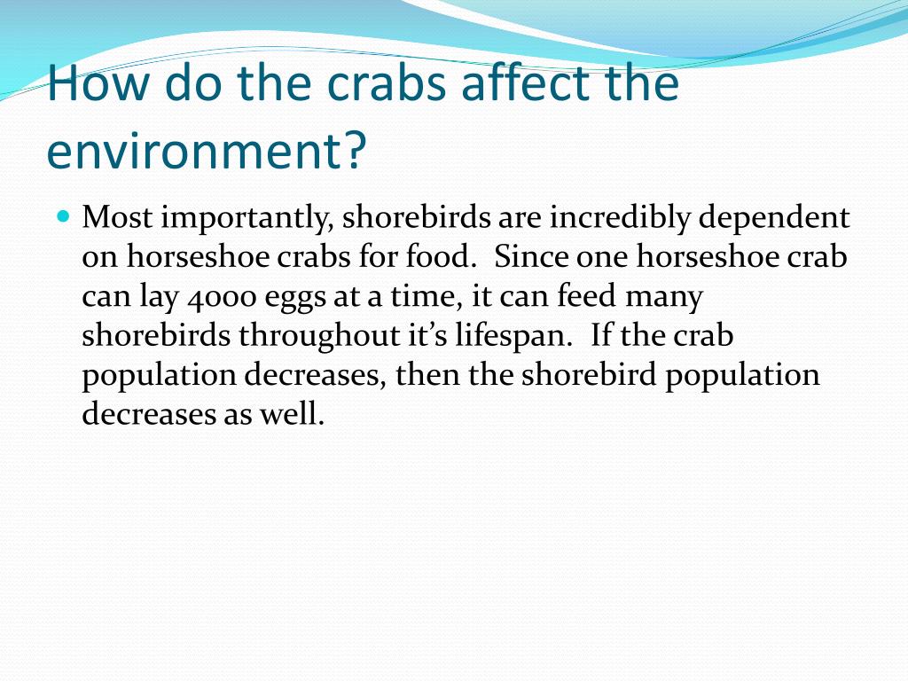 PPT - By Kelsey Arenson , Jamie Finnical , and Kamilla S. PowerPoint ...