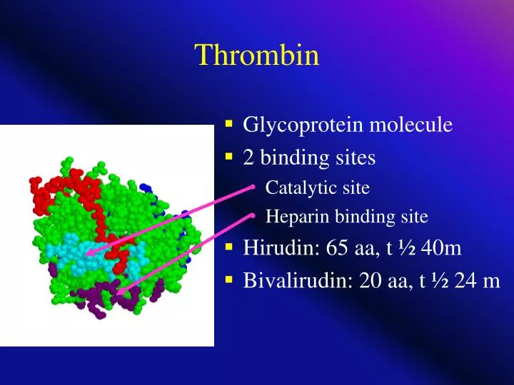 PPT - Thrombin PowerPoint Presentation, free download - ID:2118745