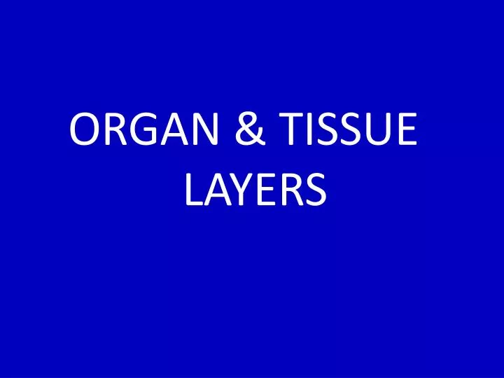 PPT - ORGAN & TISSUE LAYERS PowerPoint Presentation, free download - ID ...