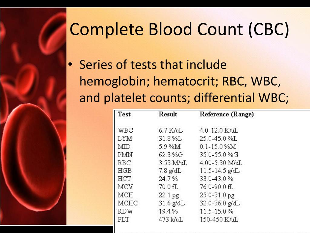 PPT - Blood, Lymph & Immune System CH 9 PowerPoint Presentation - ID ...
