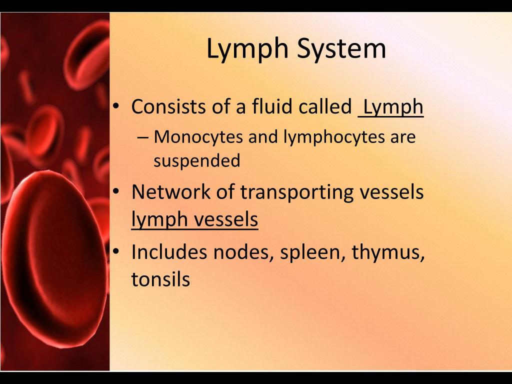 PPT - Blood, Lymph & Immune System CH 9 PowerPoint Presentation - ID ...