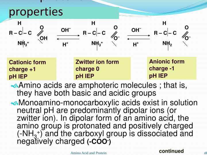 PPT - AMINO ACID AND PROTEIN PowerPoint Presentation - ID:2118878