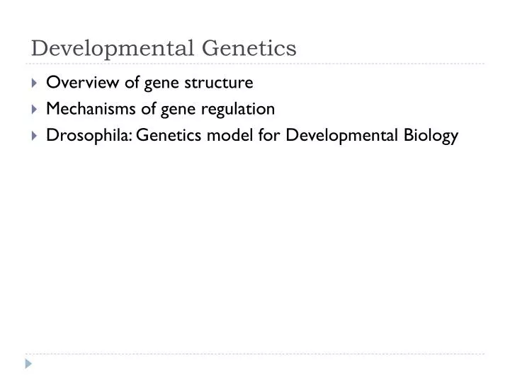 PPT - Developmental Genetics PowerPoint Presentation, free download ...