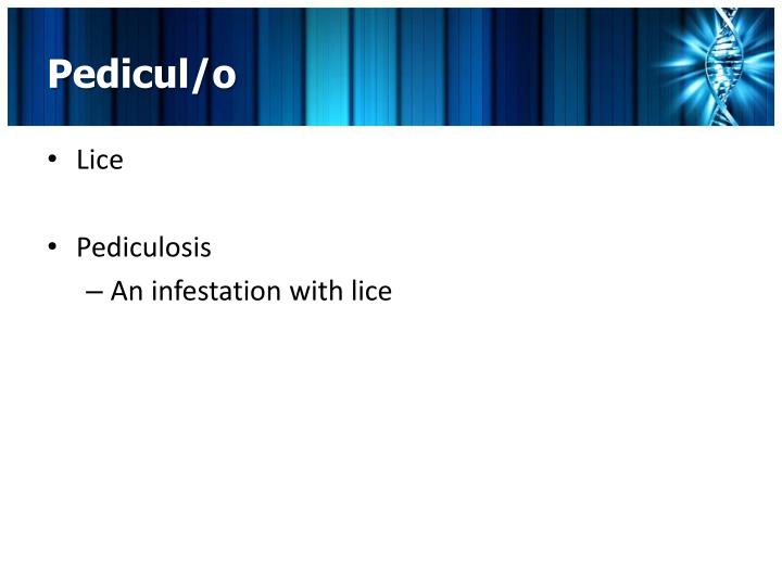 PPT - Chapter 12 Skin: The Integumentary System PowerPoint Presentation ...