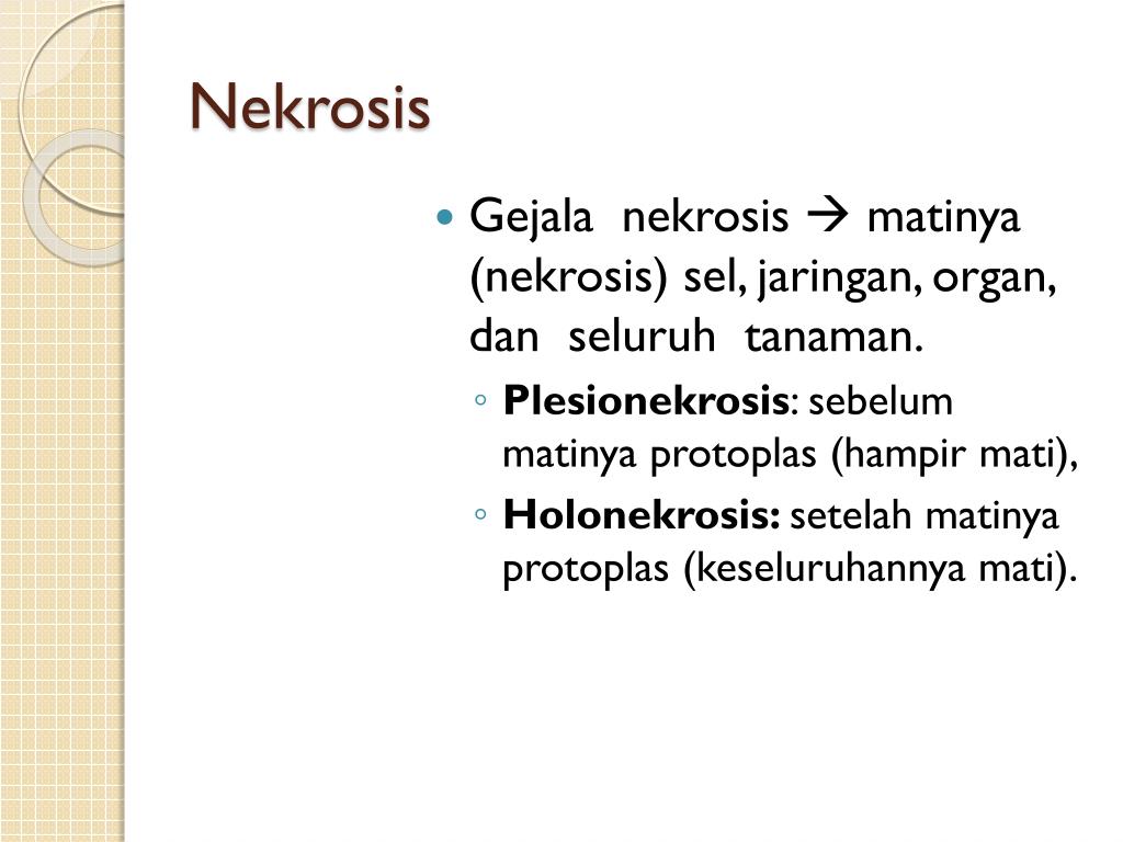 PPT - GEJALA DAN PENGUKURAN PENYAKIT TUMBUHAN PowerPoint Presentation ...