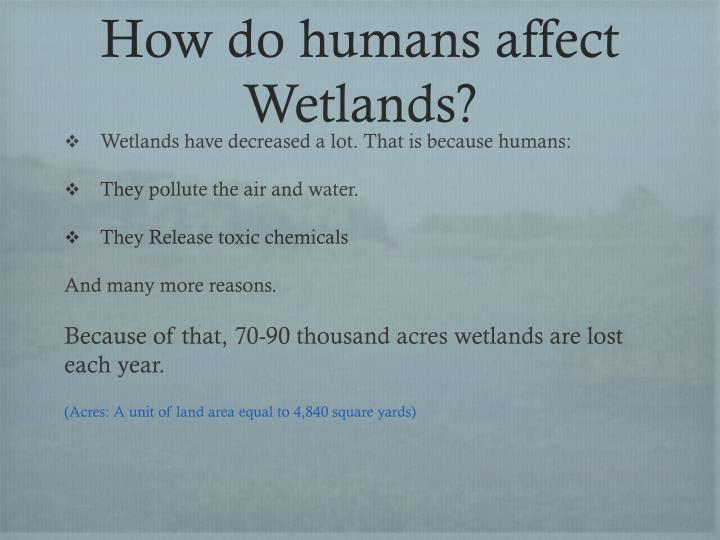 PPT - Wetlands PowerPoint Presentation - ID:2119647