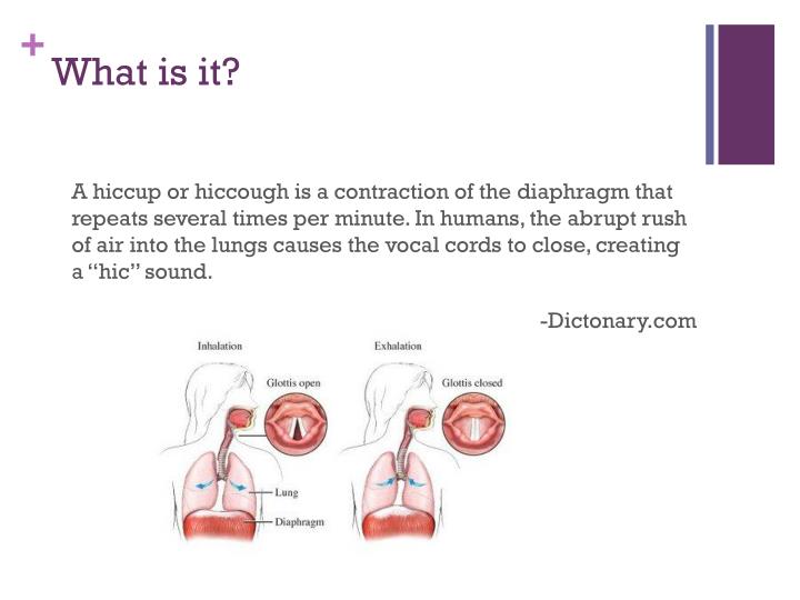 PPT - Hiccups PowerPoint Presentation - ID:2119885