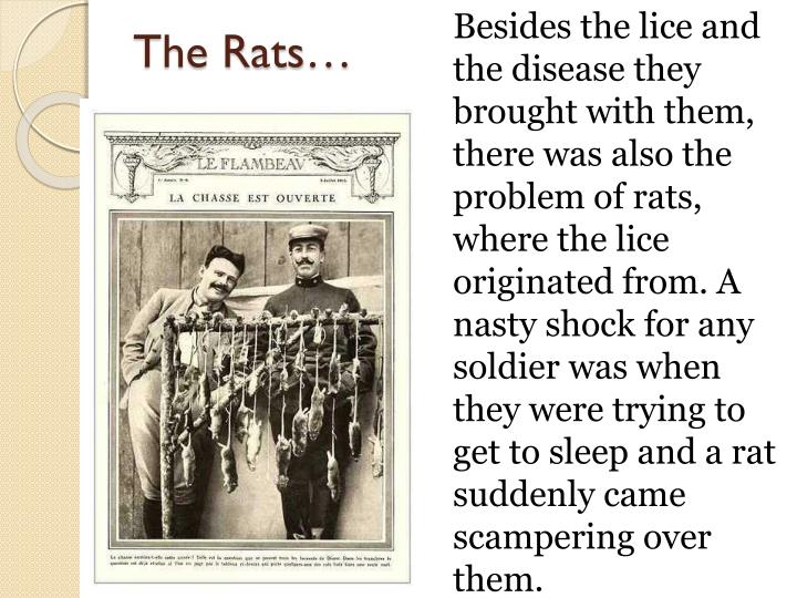PPT - Trench Warfare and WWI PowerPoint Presentation - ID:2119981