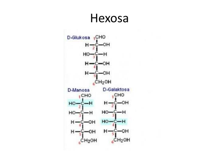 PPT - cARBOHYDRATE PowerPoint Presentation - ID:2120096