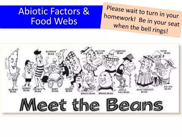 PPT - Abiotic Factors & Food Webs PowerPoint Presentation, free ...
