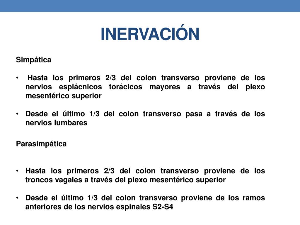 PPT - INTESTINO DELGADO , INTESTINO GRUESO PowerPoint Presentation ...