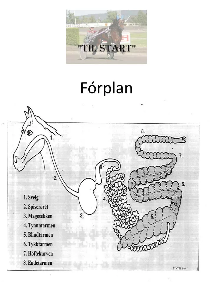 PPT - Fórplan PowerPoint Presentation, free download - ID:2120486