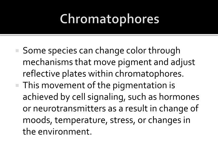 PPT - CHROMATOPHORES PowerPoint Presentation - ID:2120782