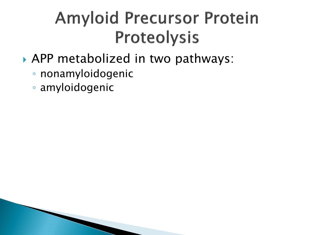 PPT - Amyloid , Amyloid Precursor Proteins and Alzheimer’s PowerPoint ...