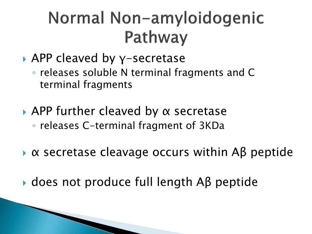 PPT - Amyloid , Amyloid Precursor Proteins and Alzheimer’s PowerPoint ...