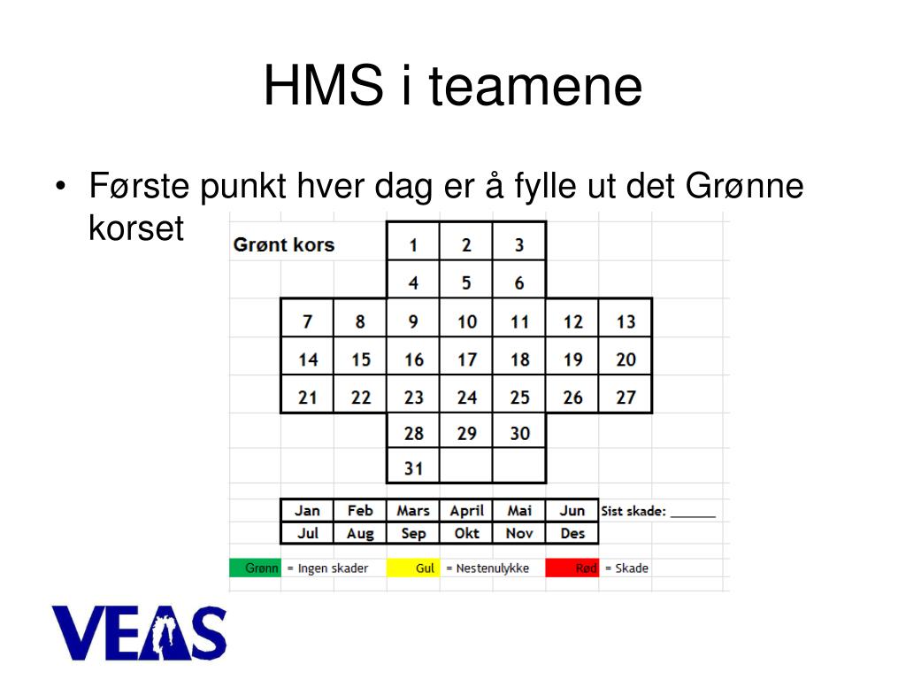 PPT - HMS sett fra arbeidsgiversiden Lisbet Fagerbakk Kvalitetssjef ...