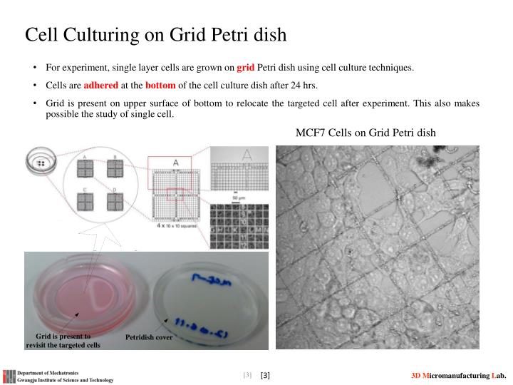 PPT - Petri dish PowerPoint Presentation - ID:2121311