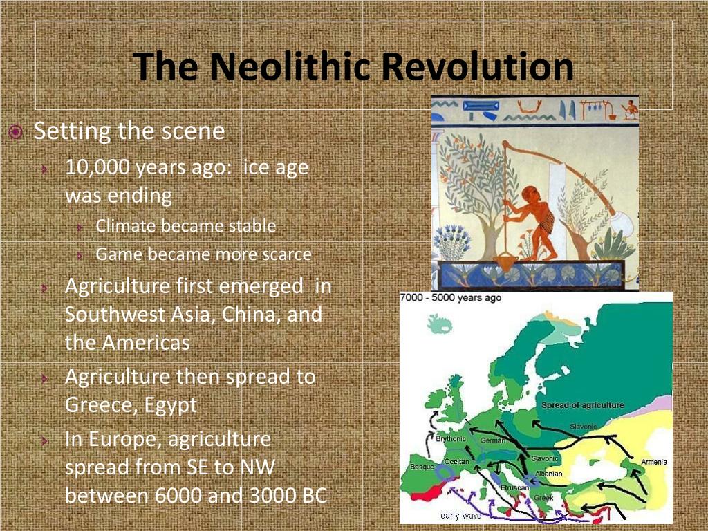 PPT - The Neolithic Revolution World History: Libertyville HS ...