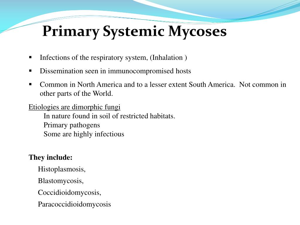 PPT - Respiratory Fungal Infections PowerPoint Presentation, free ...