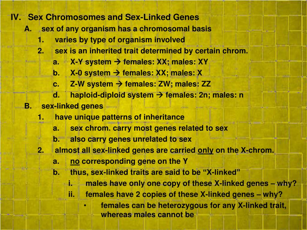 Ppt Chromosomal Basis Of Inheritance Powerpoint Presentation Free