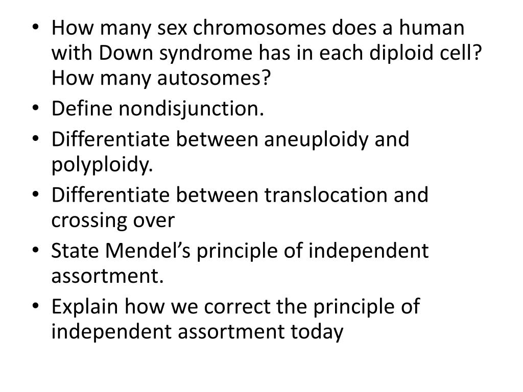 Ppt How Are Two Homologous Chromosomes Similar And How Are They