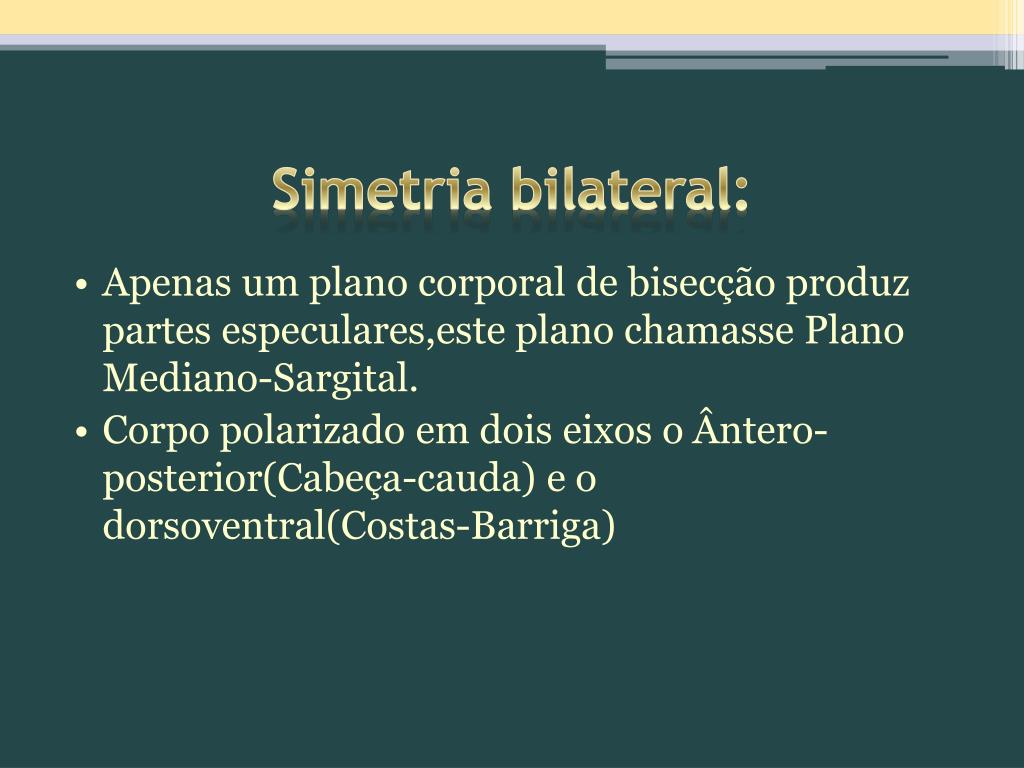 PPT - Evolução da arquitetura animal: Radiata para bilateria PowerPoint ...